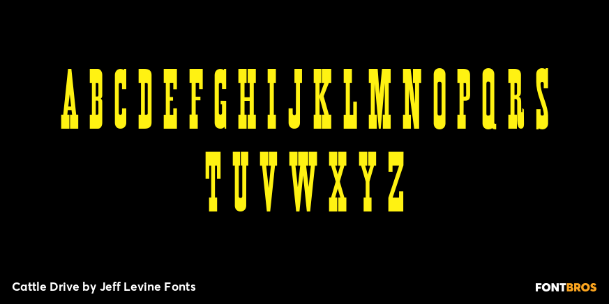 Cattle Drive Font Family by Jeff Levine Fonts | Font Bros