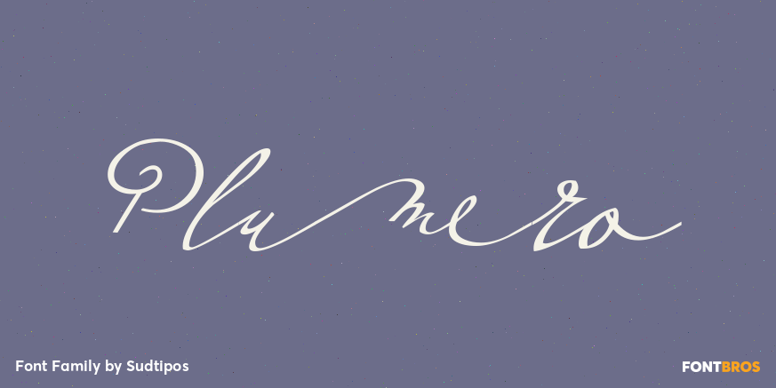 Plumero Font Family by Sudtipos | Font Bros