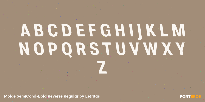 Molde SemiCond-Bold Reverse Regular Font Style by Letritas | Font Bros