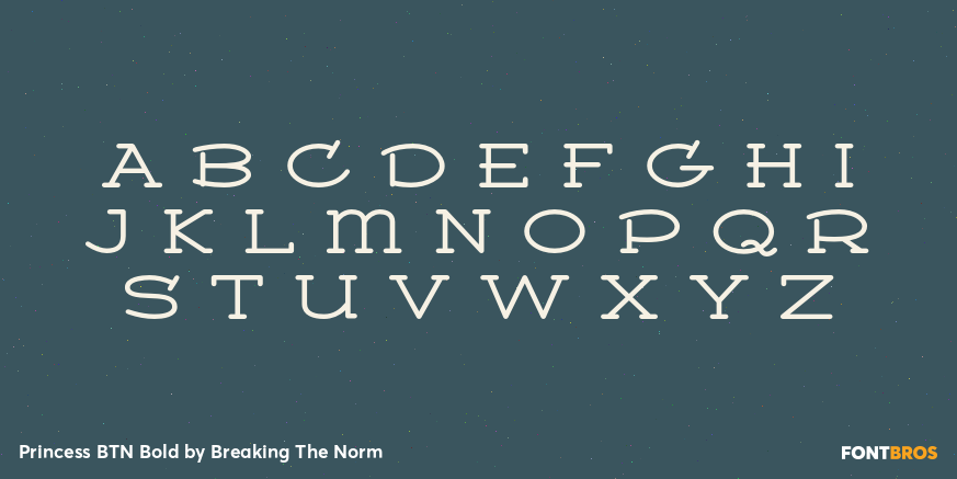 Princess BTN Bold Font Style by Breaking The Norm | Font Bros