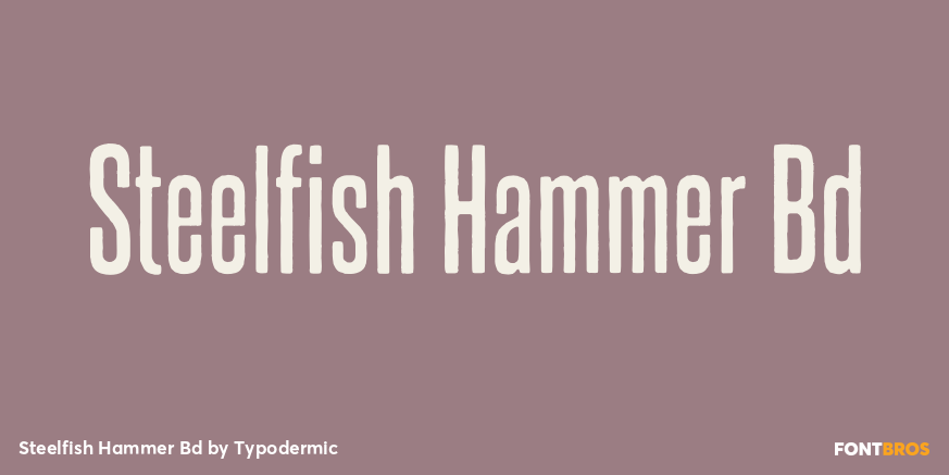 Steelfish Hammer Bd Font Style by Typodermic | Font Bros