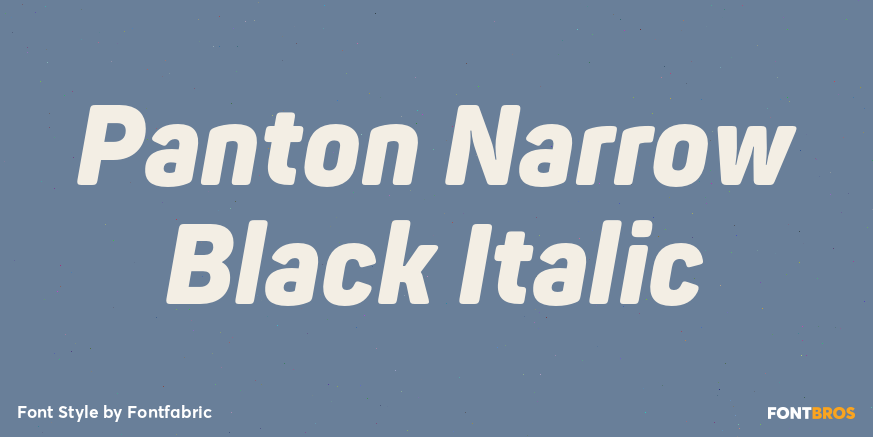Panton Narrow Black Italic Font Style by Fontfabric | Font Bros