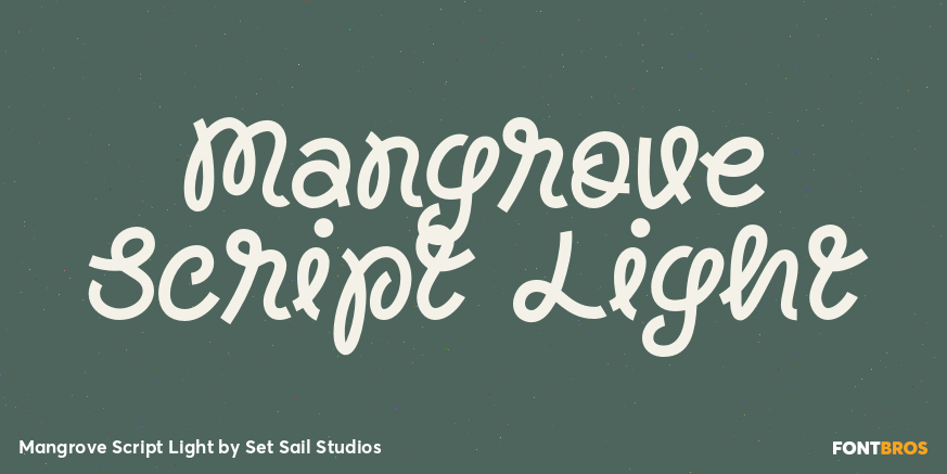 Mangrove Script Light Font Style by Set Sail Studios | Font Bros