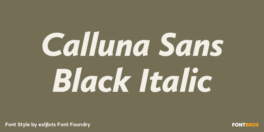 Calluna Sans Black Italic Font Style by exljbris Font Foundry | Font Bros