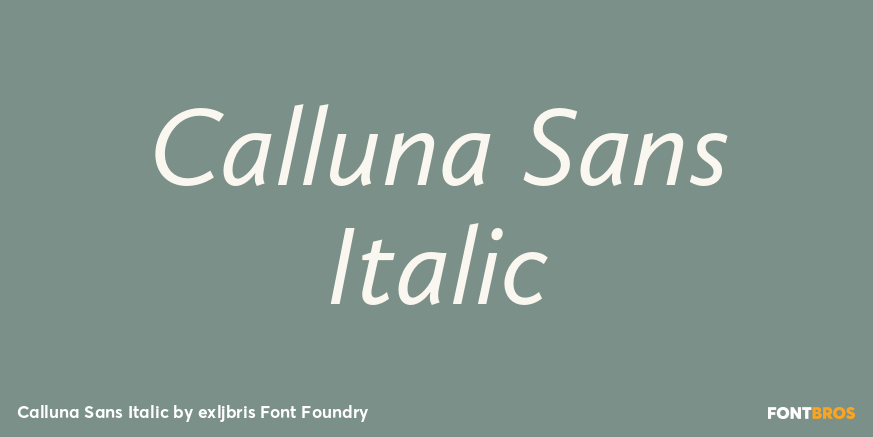 Calluna Sans Italic Font Style by exljbris Font Foundry | Font Bros