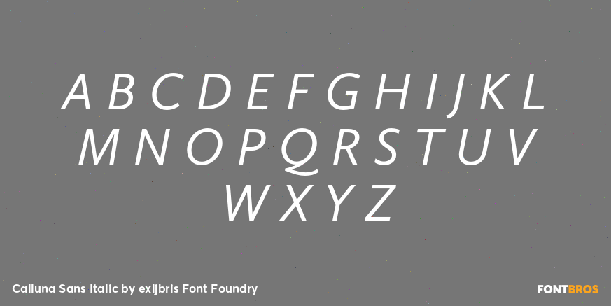 Calluna Sans Italic Font Style by exljbris Font Foundry | Font Bros