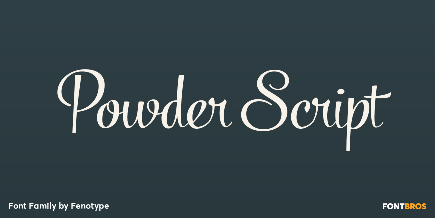 Powder Script Font Family by Fenotype | Font Bros