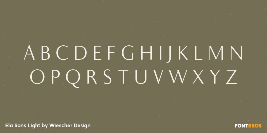 Ela Sans Light Font Style by Wiescher Design | Font Bros
