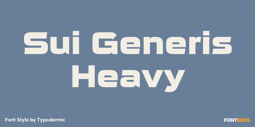 Sui Generis Heavy Font Style by Typodermic | Font Bros