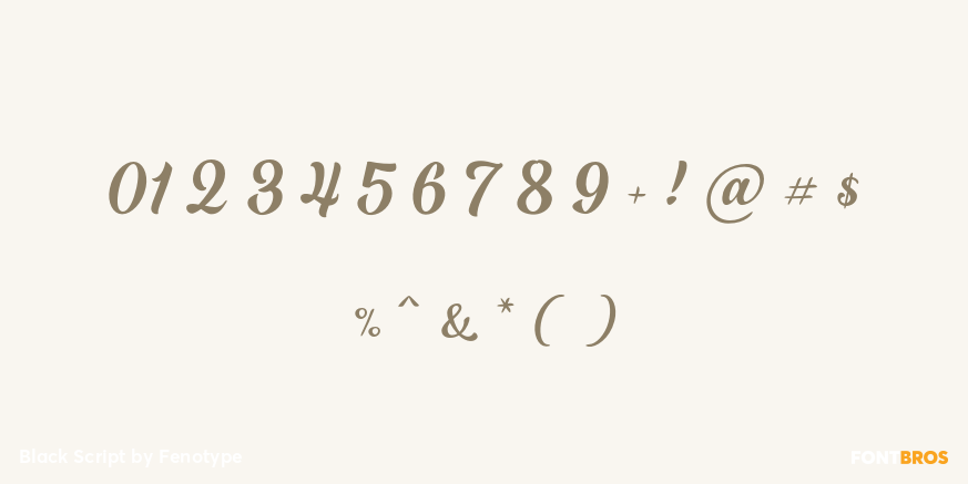 Black Script Font Family by Fenotype | Font Bros