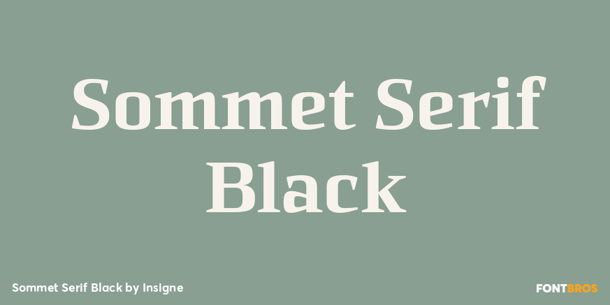 Sommet Serif Black Font Style by Insigne | Font Bros