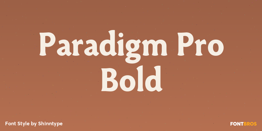 Paradigm Pro Bold Font Style by Shinntype | Font Bros