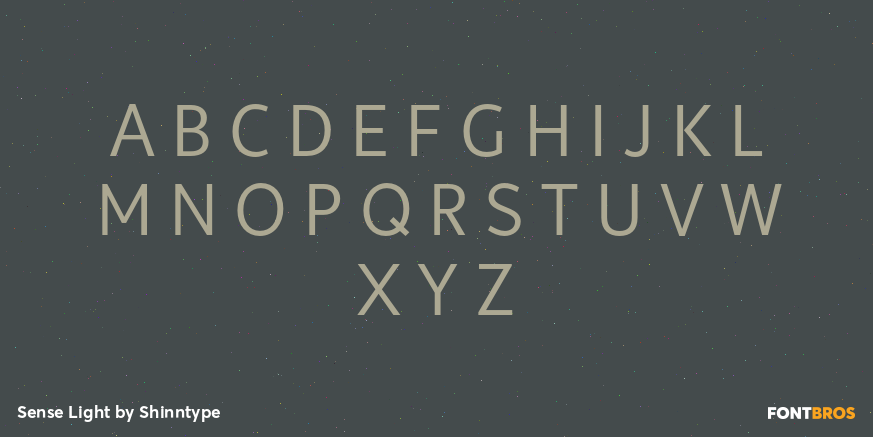 Sense Light Font Style by Shinntype | Font Bros