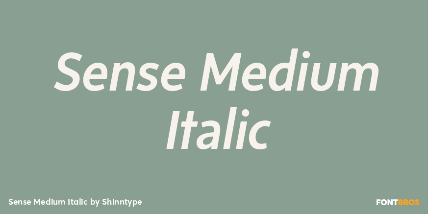 Sense Medium Italic Font Style by Shinntype | Font Bros