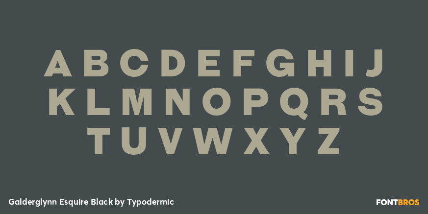 Galderglynn Esquire Black Font Style by Typodermic | Font Bros