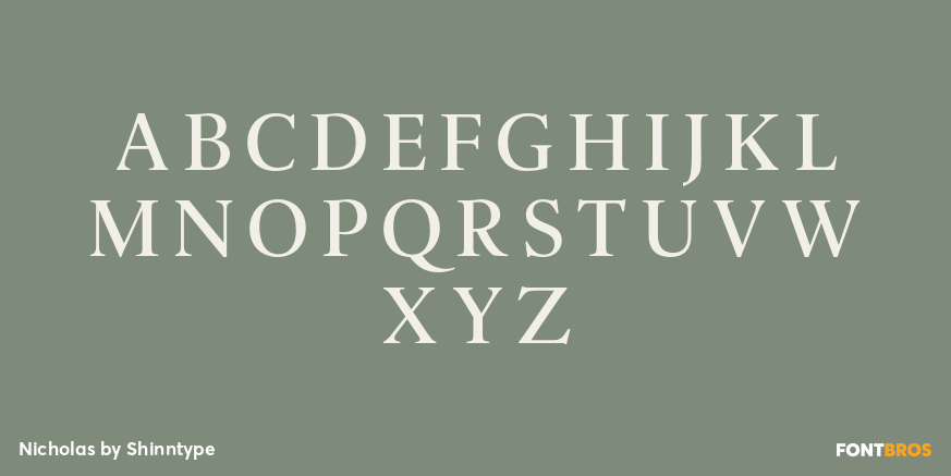 Nicholas Font Family by Shinntype | Font Bros