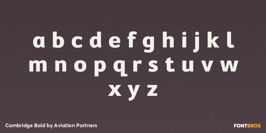 Cambridge Bold Font Style by Aviation Partners | Font Bros