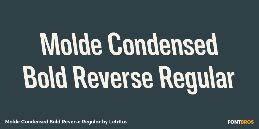 Molde Condensed-Bold Reverse Regular Font Style by Letritas | Font Bros