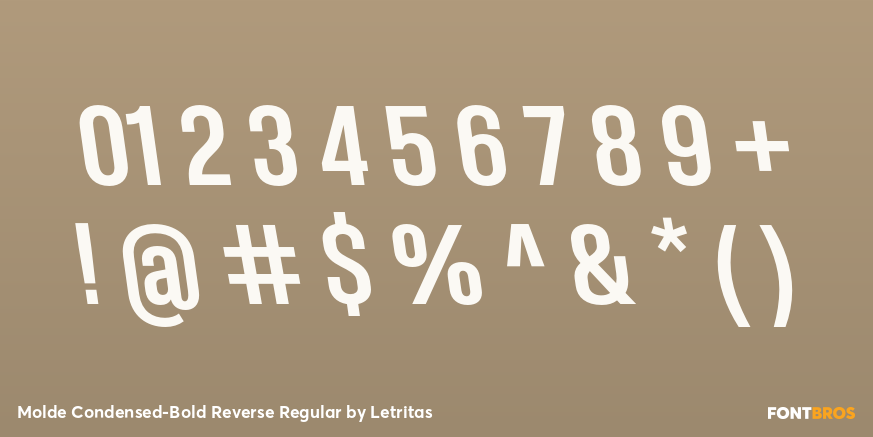 Molde Condensed-Bold Reverse Regular Font Style by Letritas | Font Bros