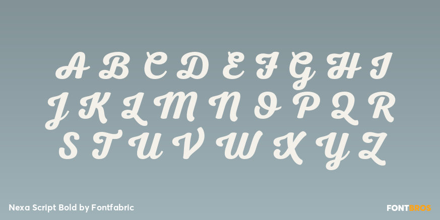Nexa Script Bold Font Style by Fontfabric | Font Bros