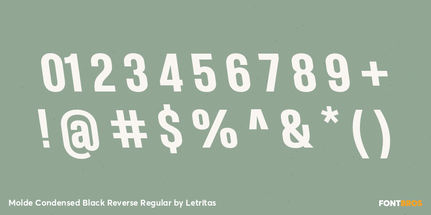Molde Condensed-Black Reverse Regular Font Style by Letritas | Font Bros