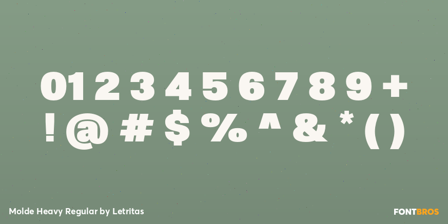 Molde Heavy Regular Font Style by Letritas | Font Bros